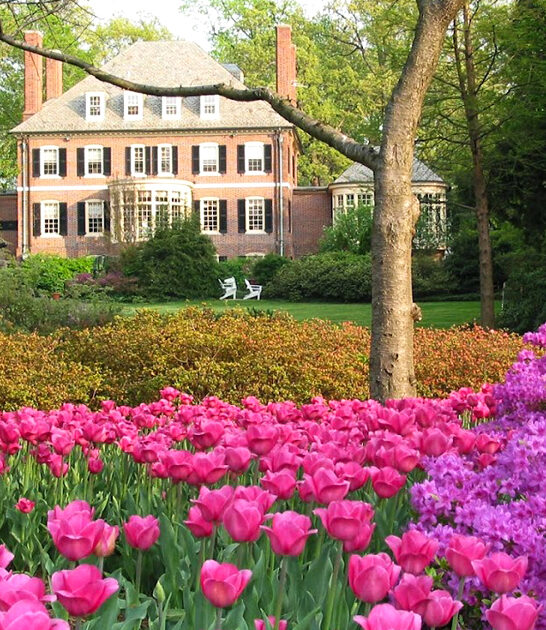 dreamy park maryland ftr