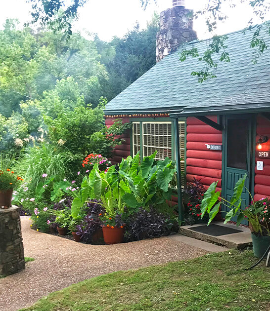 dreamy prime rib arkansas ftr