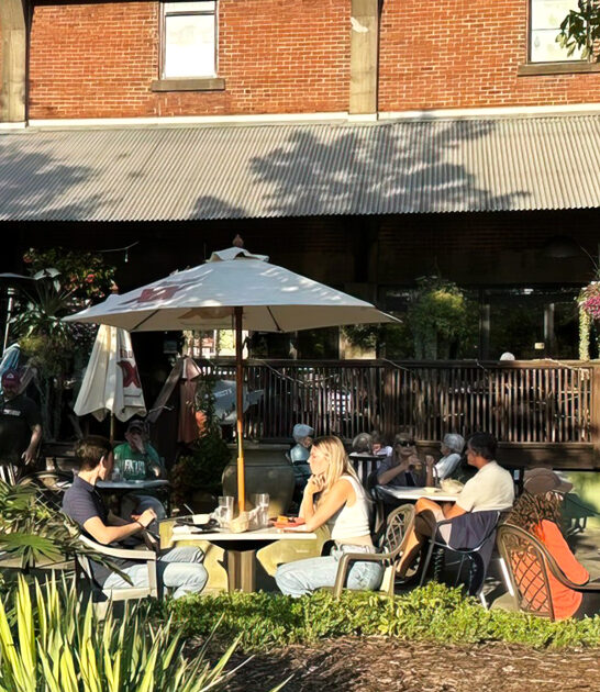 enchiladas georgia restaurant FTR