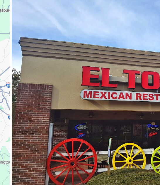 enchiladas kentucky restaurant delicious ftr