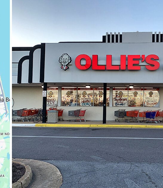 enormous discount store virginia ftr