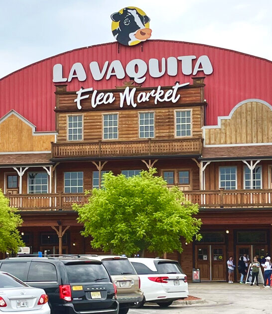 enormous georgia swap meets ftr