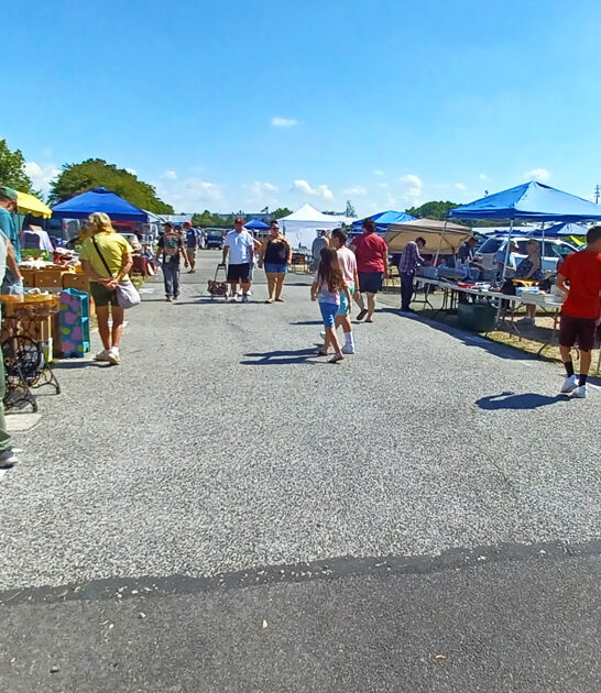 enormous junk hunting pennsylvania ftr