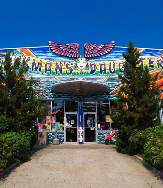 enormous vintage store georgia ftr