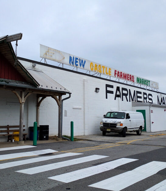 expansive delaware flea market ftr
