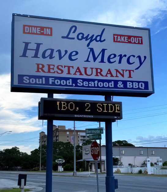famous florida fried chicken ftr