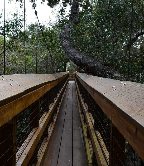 fascinating florida park ftr