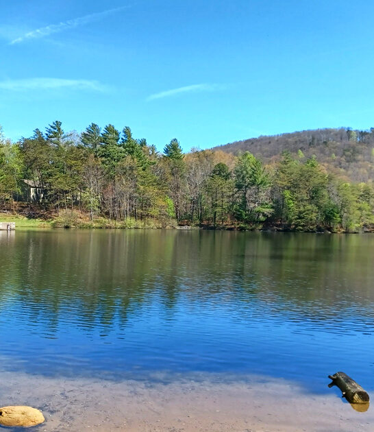 fascinating georgia state park ftr
