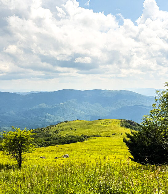 fascinating virginia state park ftr