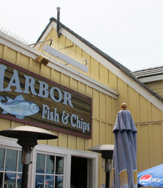 fish chips tiny california ftr