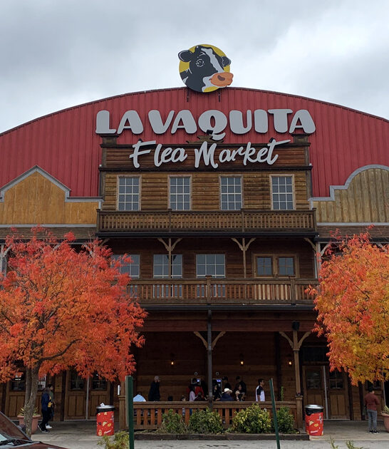 flea market georgia bargain ftr