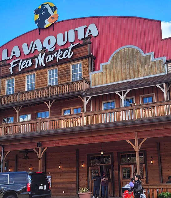 flea market georgia treasures ftr