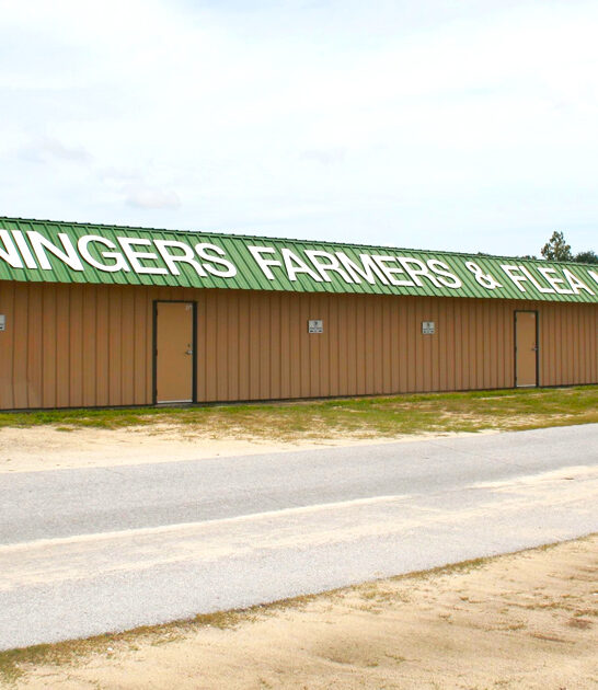 florida enormous swap meets ftr