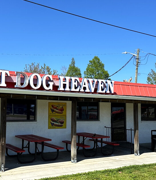 florida hot dog joints ftr