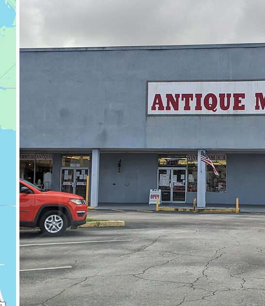 florida labyrinth timeless treasures ftr