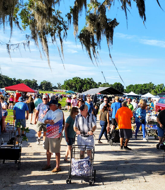 florida massive flea bargain ftr