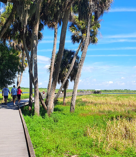 florida picturesque park ftr