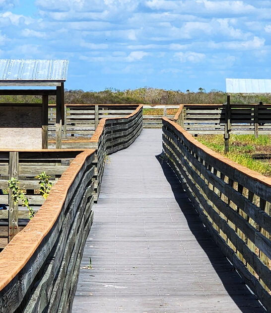 florida underrated park ftr