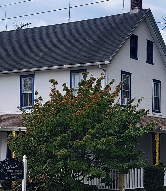 fried chicken restaurant delaware ftr