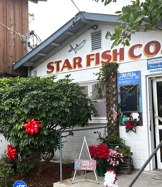 fried fish florida restaurant ftr