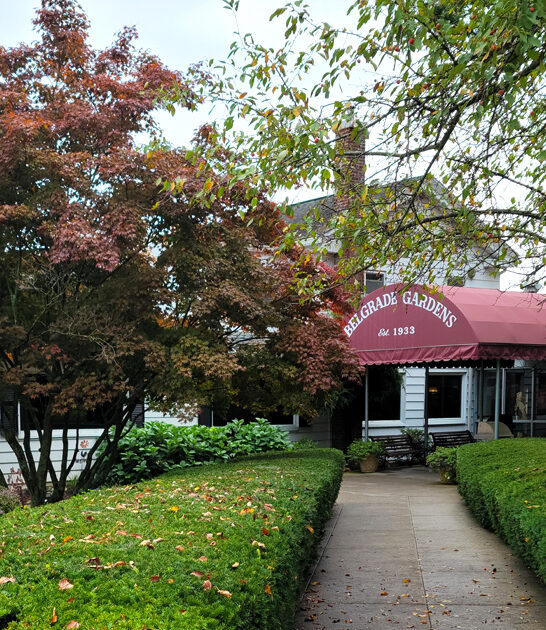 fried ohio restaurant chicken ftr