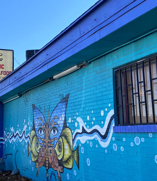 fried snapper restaurant kansas ftr