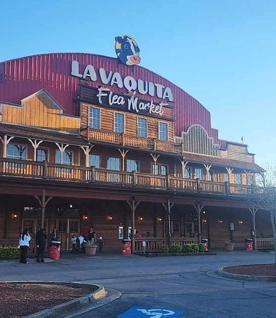 georgia bargain hunting market ftr