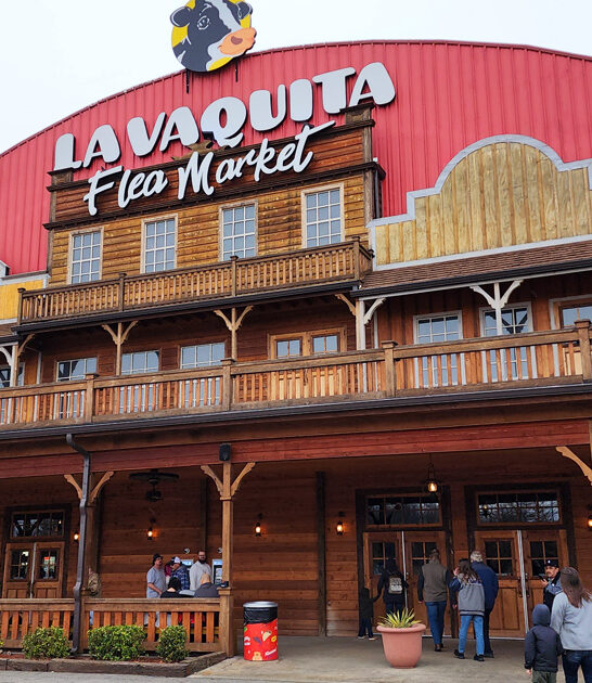 georgia bargains flea market ftr