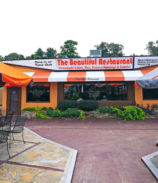 georgia delicious chicken ftr