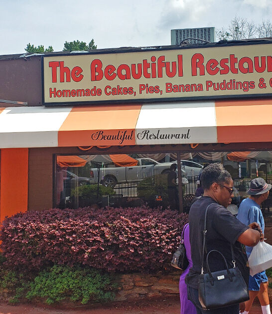 georgia fried chicken ftr