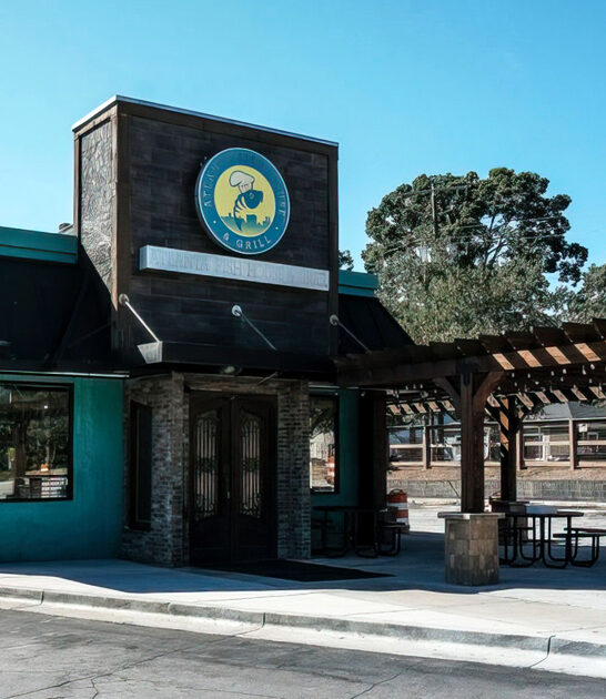 georgia local fish chips ftr