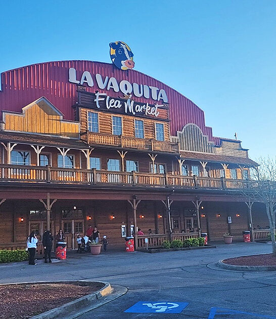 georgia massive bazaars ftr