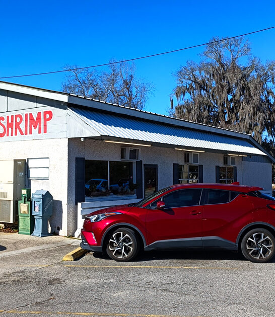 georgia oysters legendary restaurant ftr