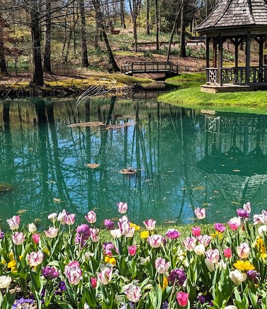 georgia postcard worthy garden ftr