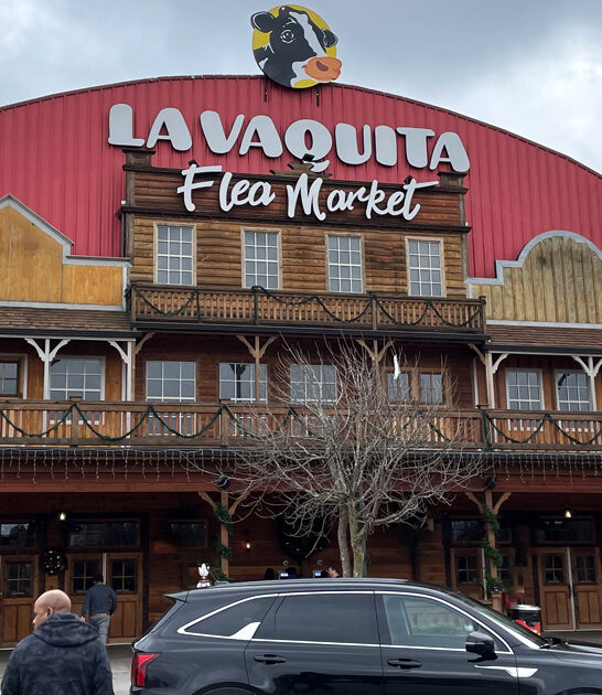 georgia swap meets treasures ftr