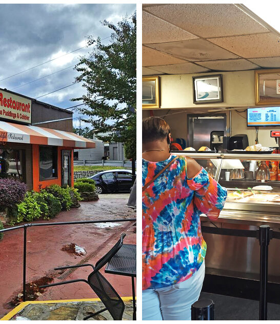 georgia top fried chicken FTR