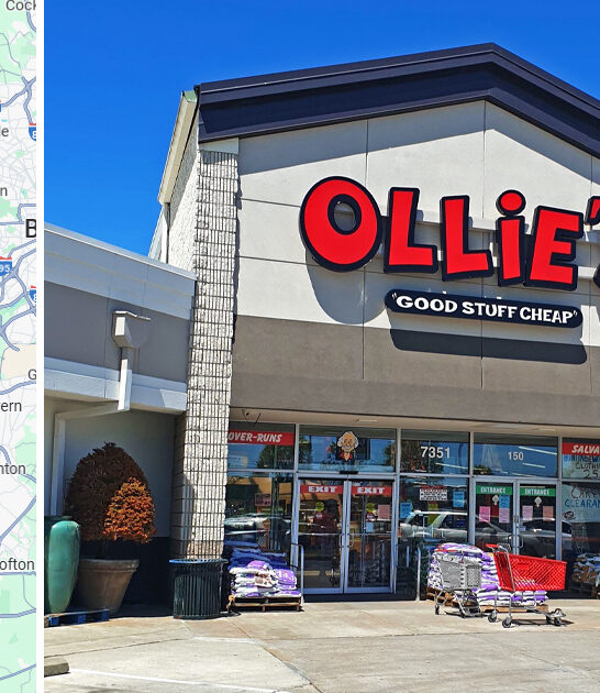 gigantic discount store maryland ftr