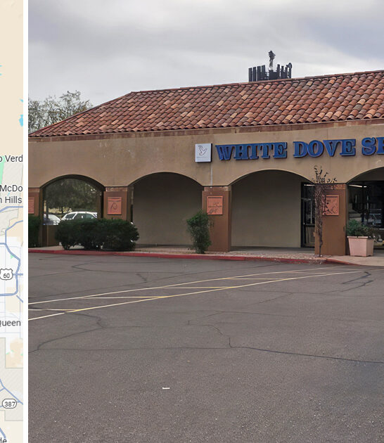 gigantic thrift store arizona ftr