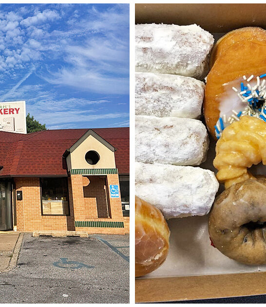 good-handmade-donuts-delaware FTR