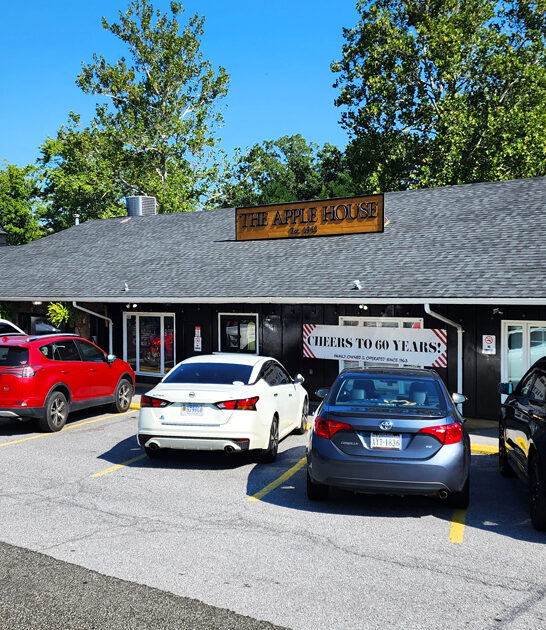 good homemade pies virginia ftr