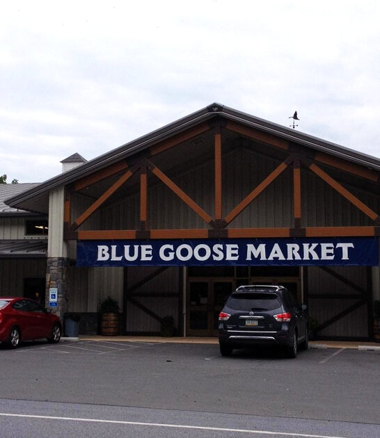 good rhubarb pies maryland ftr