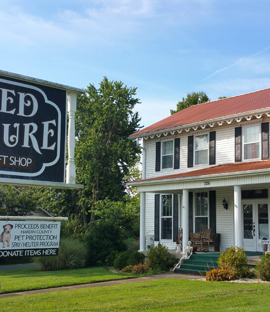 good thrift store kentucky ftr