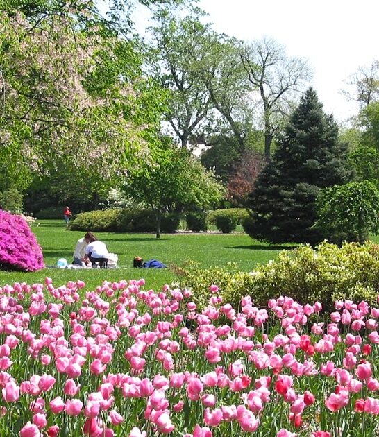 gorgeous park maryland ftr