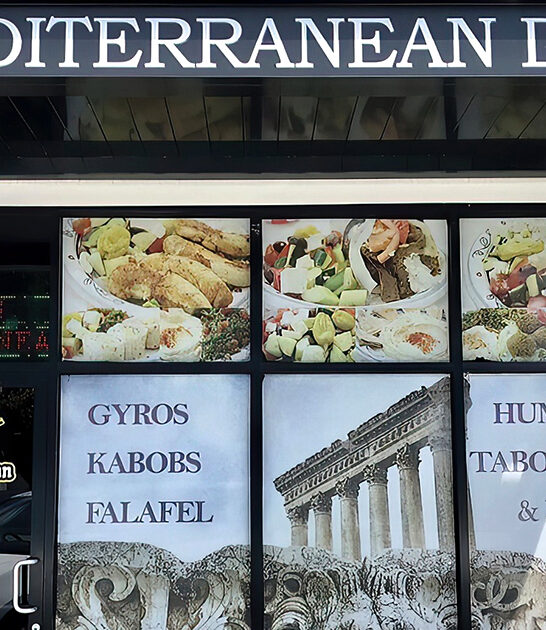 gyros restaurant florida delicious ftr