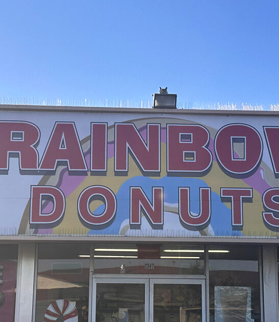 handmade donuts arizona bakery ftr