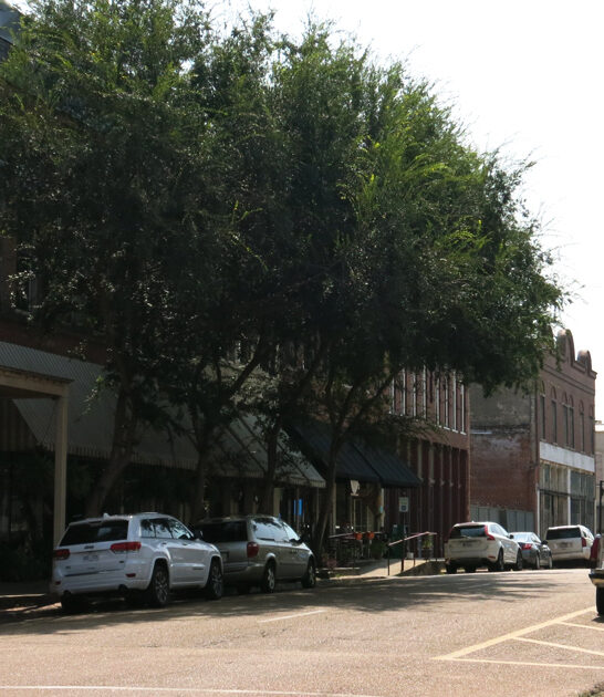 historic tiny town mississippi ftr