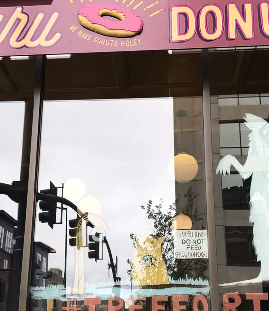 hole wall donut shop boise id ftr