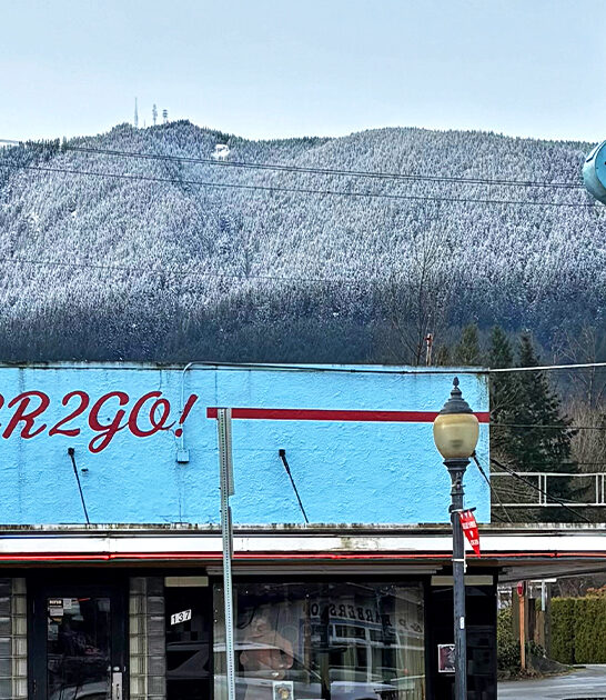 homemade diner pies washington ftr