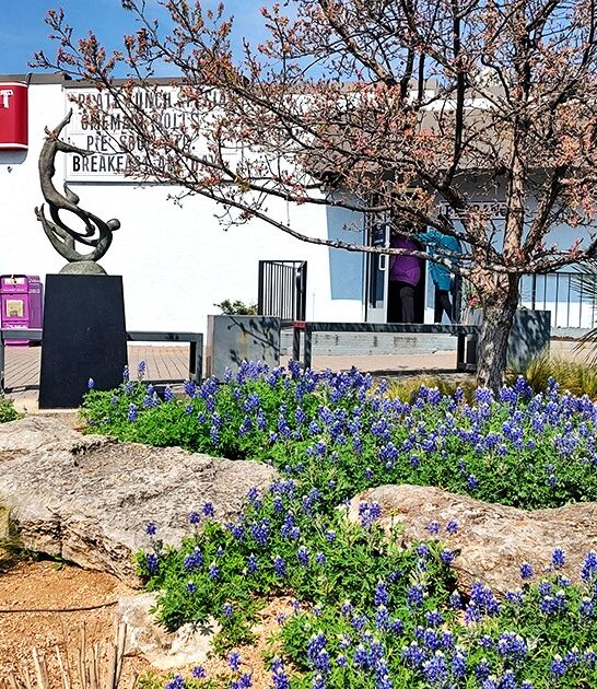 homemade pies texas diner ftr