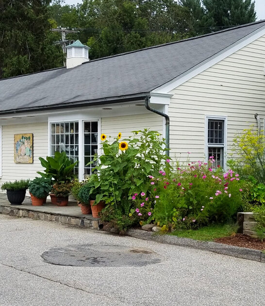 homey brunch restaurant connecticut ftr